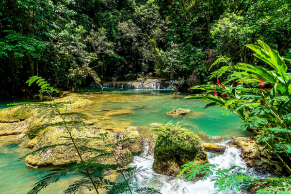 Mayfield Falls – CTS Jamaica