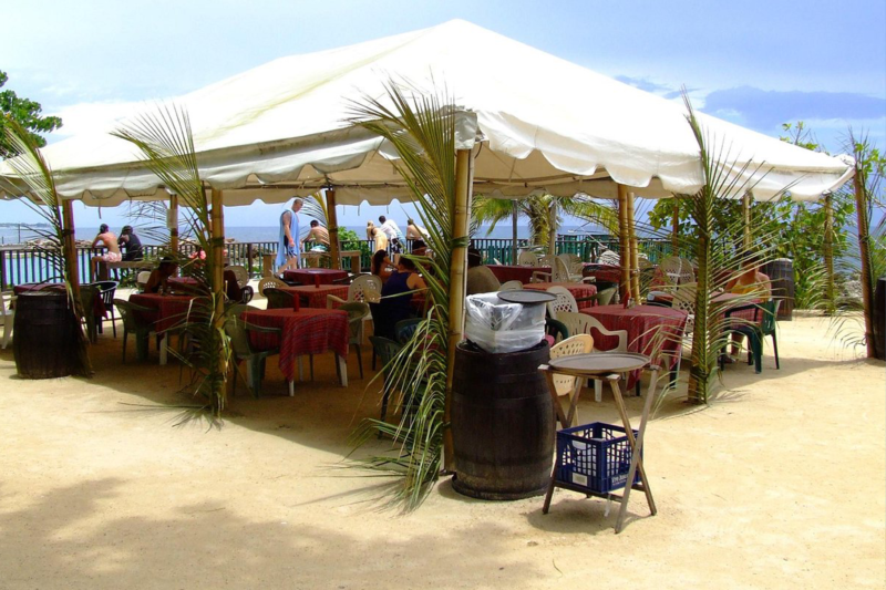 Dolphin Cove – CTS Jamaica